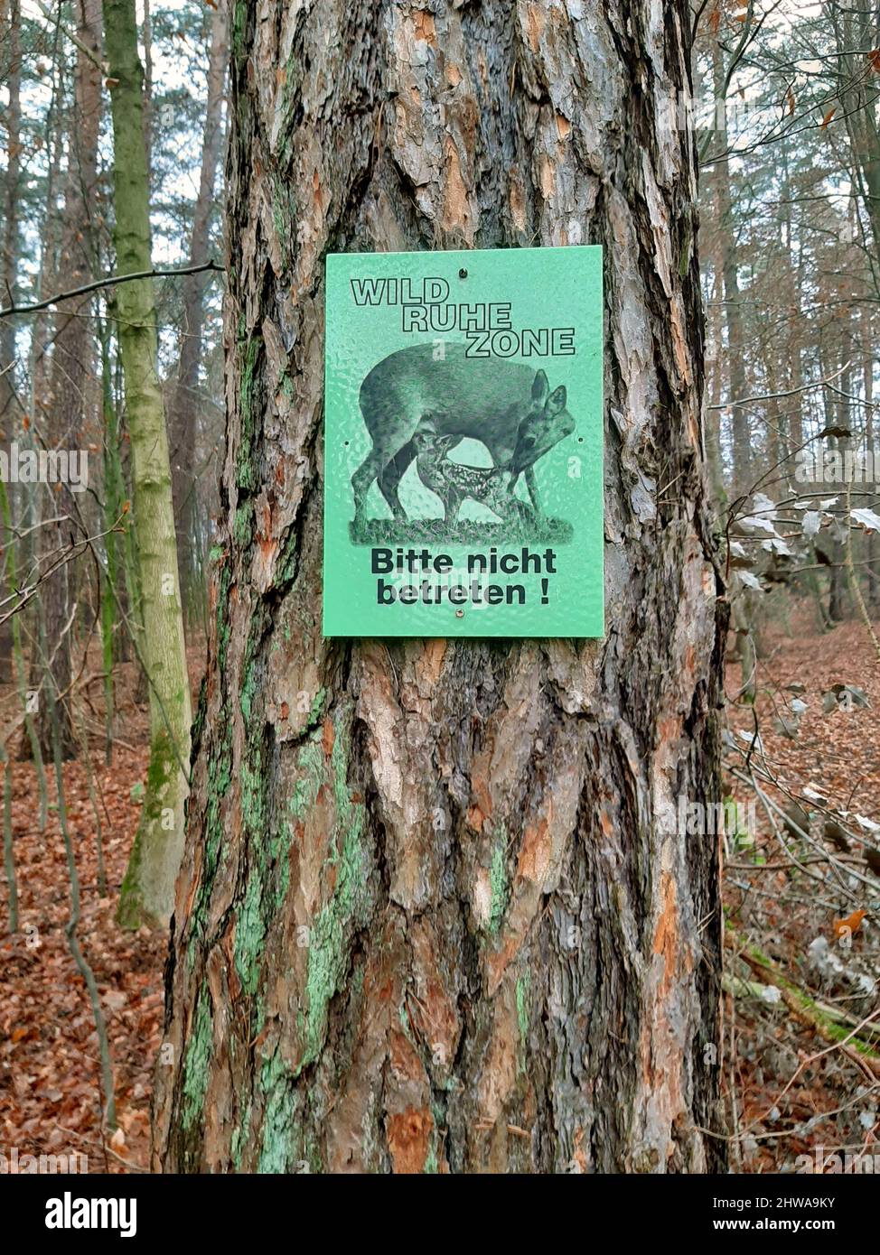 Protection of wild animals - Information sign for visitors not to enter ...