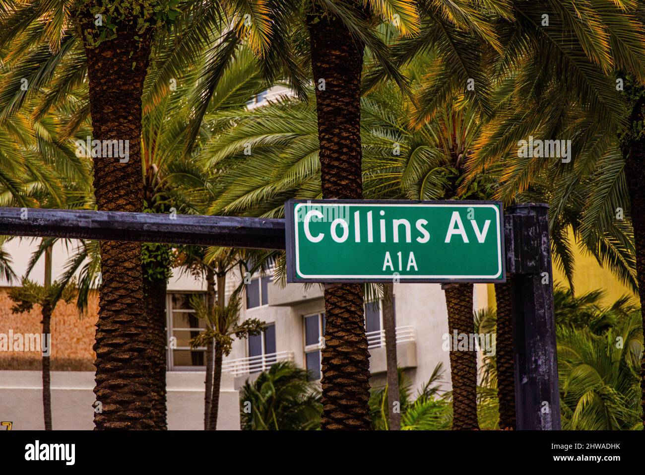 Famous Collins Avenue - street sign in Miami Beach Stock Photo - Alamy