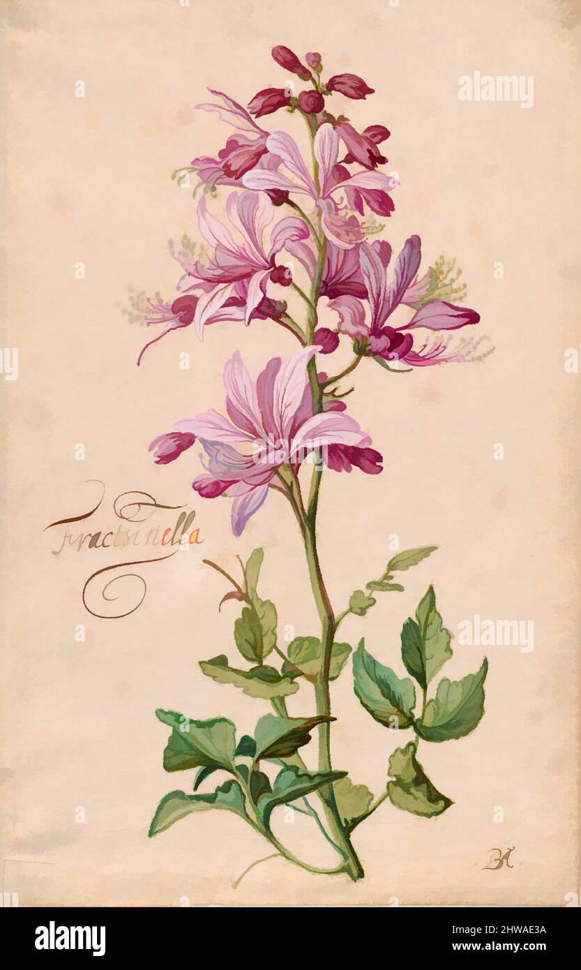 Art inspired by Drawings and Prints, Drawing, A Dictamnus, Artist ...