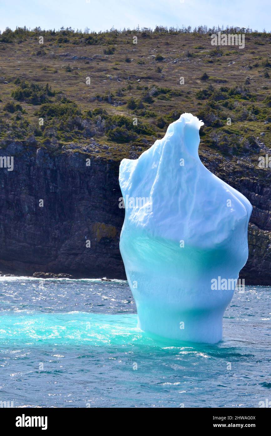 Pilar shaped iceberg in bay outside St. John's next to seaside cliff ...