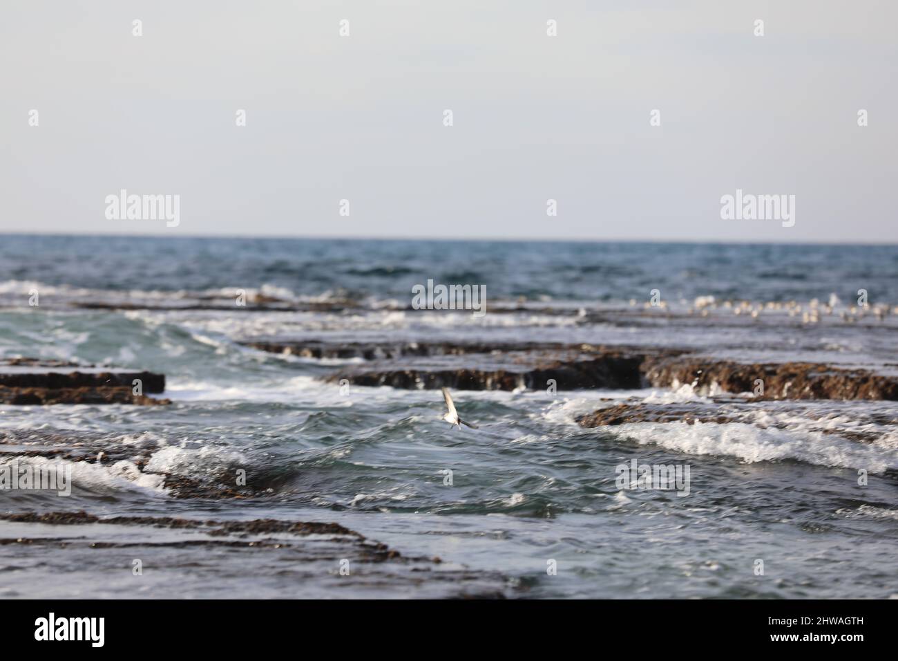 Landscape of rock and sea High quality Stock Photo - Alamy