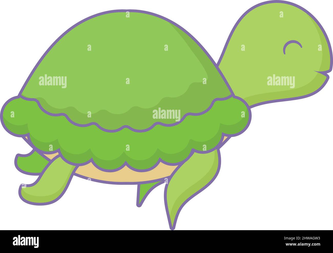 green turtle design Stock Vector Image & Art - Alamy