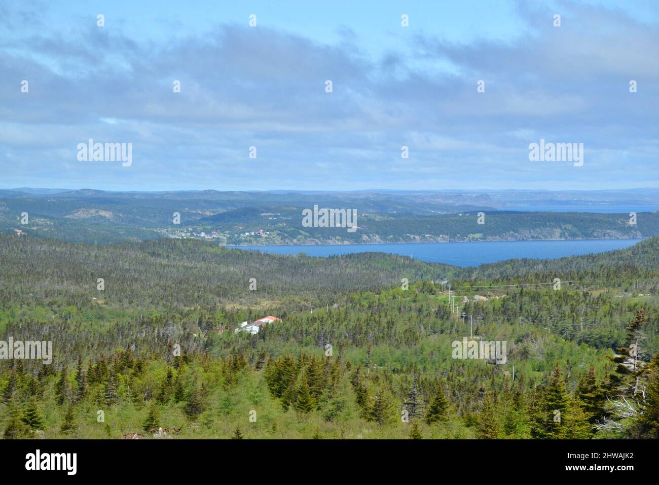 Forested landscape and ocean inlet under cloudy sky in Newfoundland ...