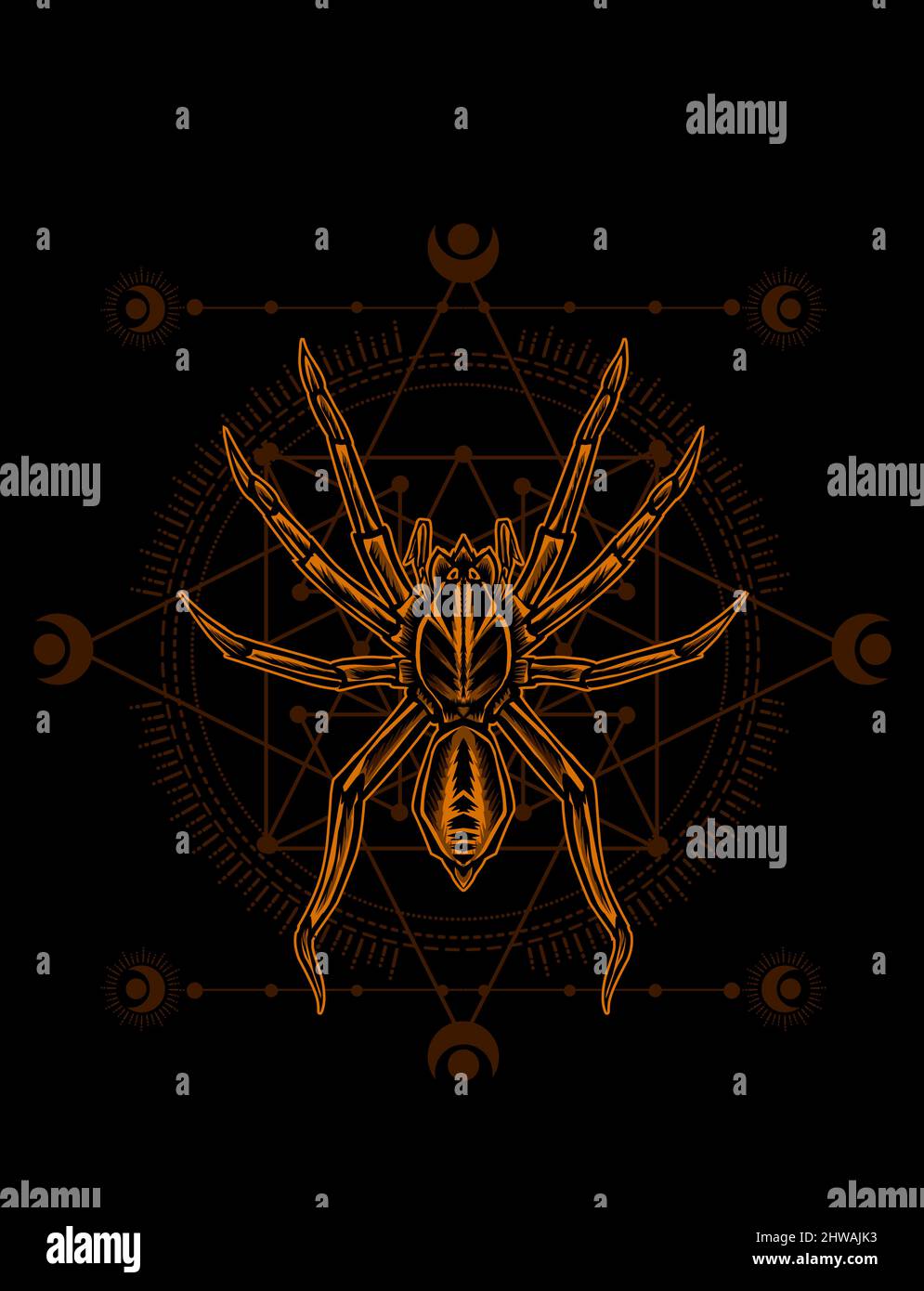 illustration spider with sacred geometry Stock Vector Image & Art - Alamy