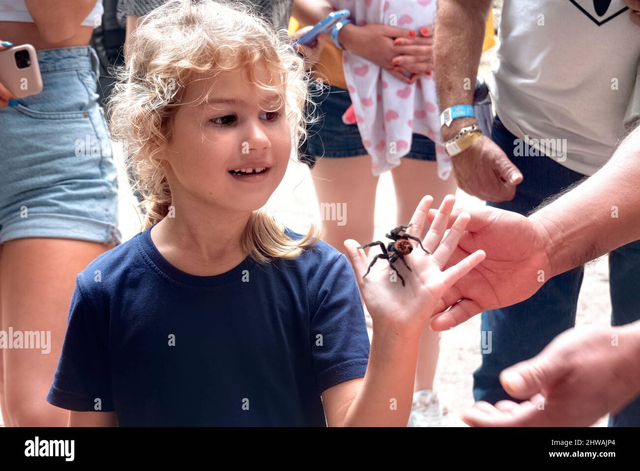 Blond girl enjoying a tarantula, Tikal National Park, Petén, Guatemala ...