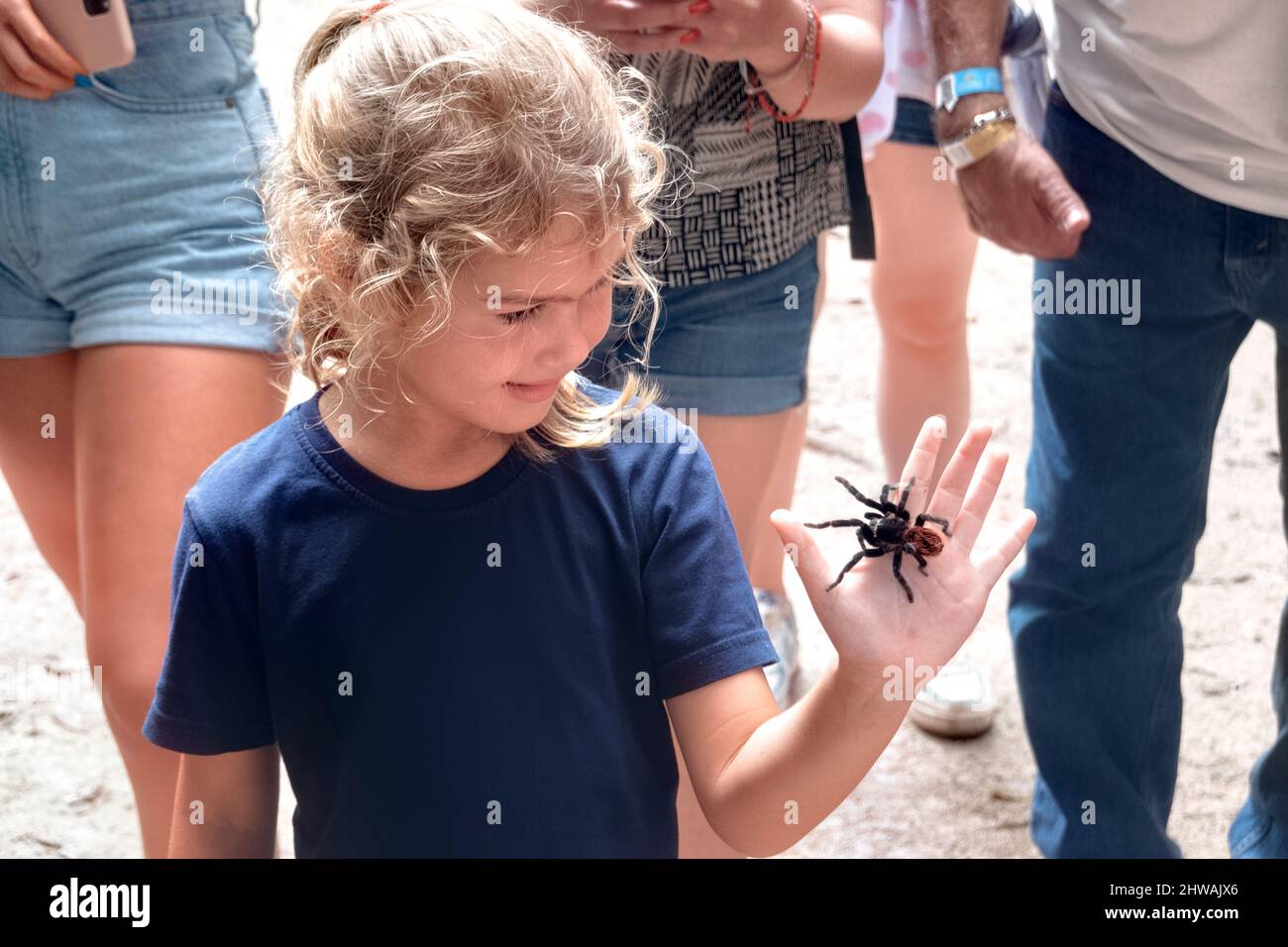 Blond girl enjoying a tarantula, Tikal National Park, Petén, Guatemala ...