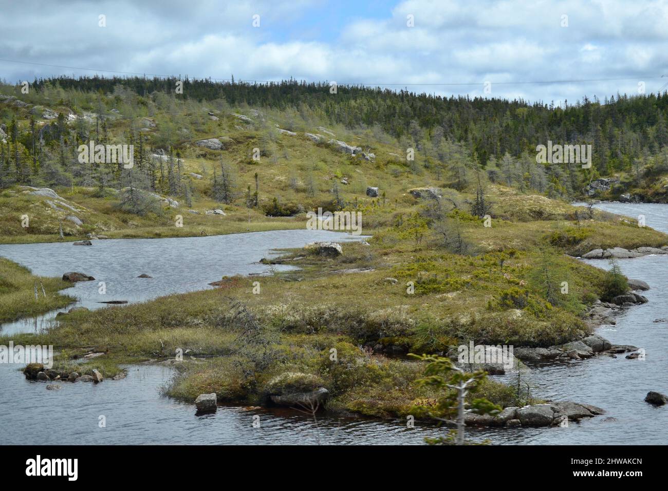 Rugged landscape meeting lake along Newfoundland highway during Spring ...