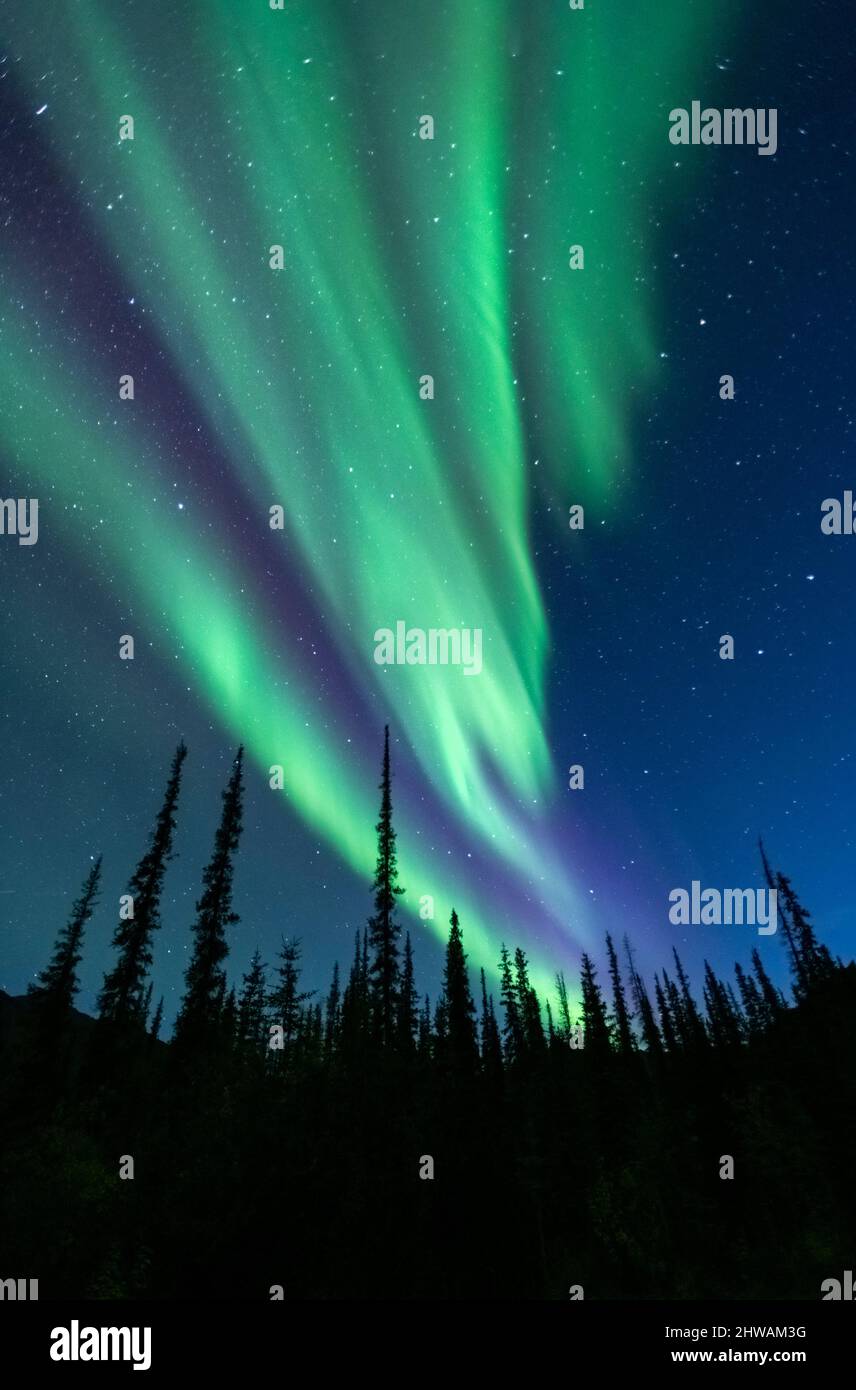 Aurora Borealis, Northern Lights, Night Sky. Alaska Stock Photo - Alamy
