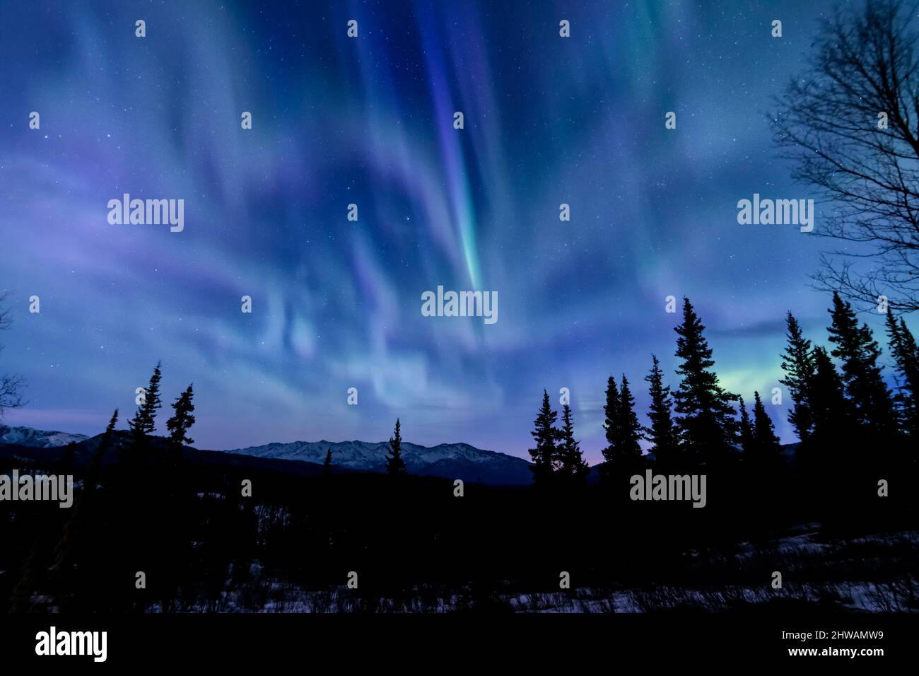 Aurora Borealis, Northern Lights, Night Sky. Alaska Stock Photo - Alamy
