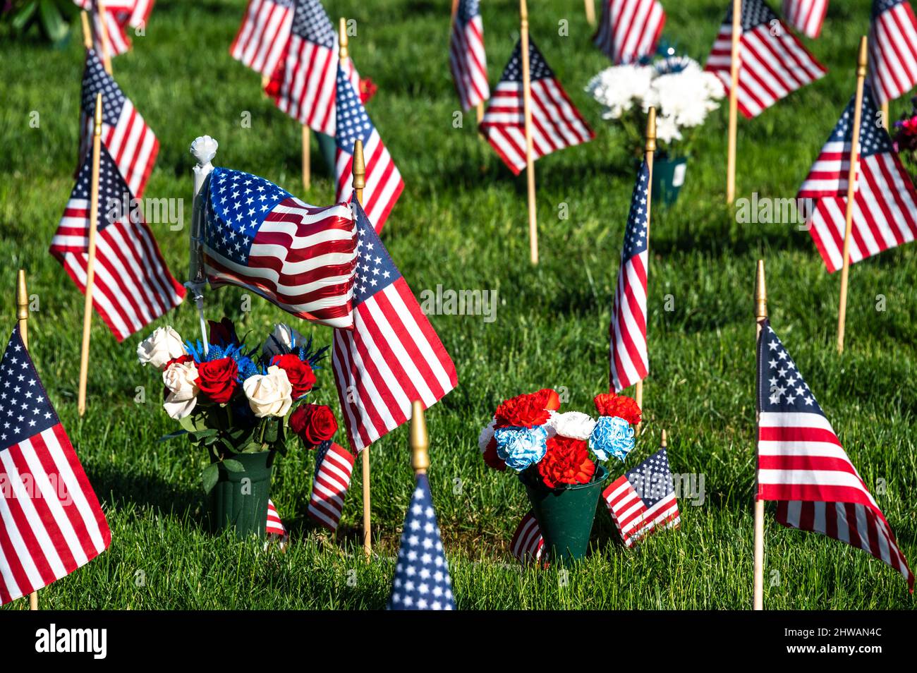 American flag flowers hi-res stock photography and images - Alamy