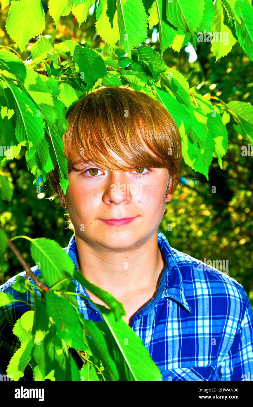 portrait of cute boy in leaves of the tree Stock Photo - Alamy