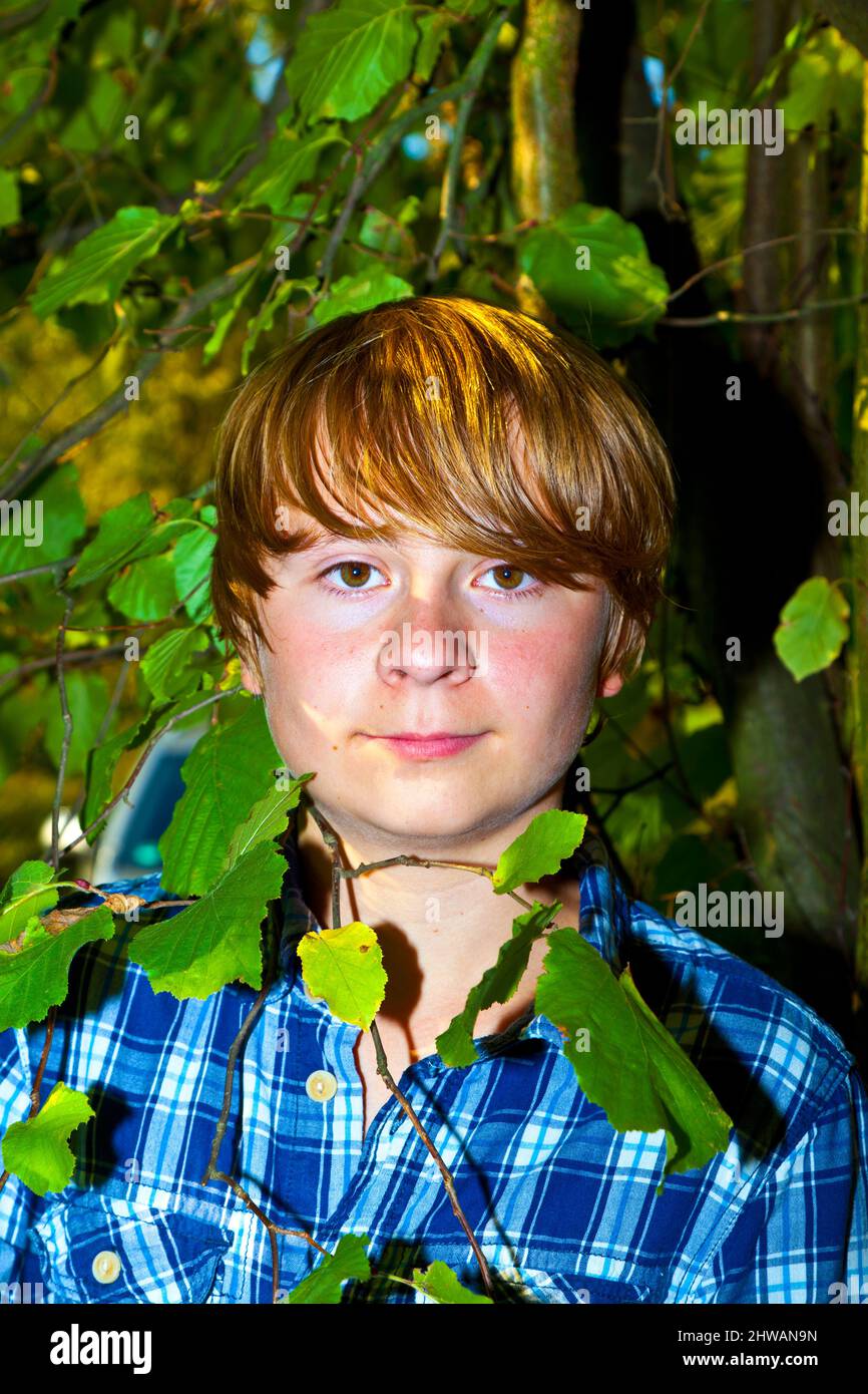 portrait of cute boy in leaves of the tree Stock Photo - Alamy