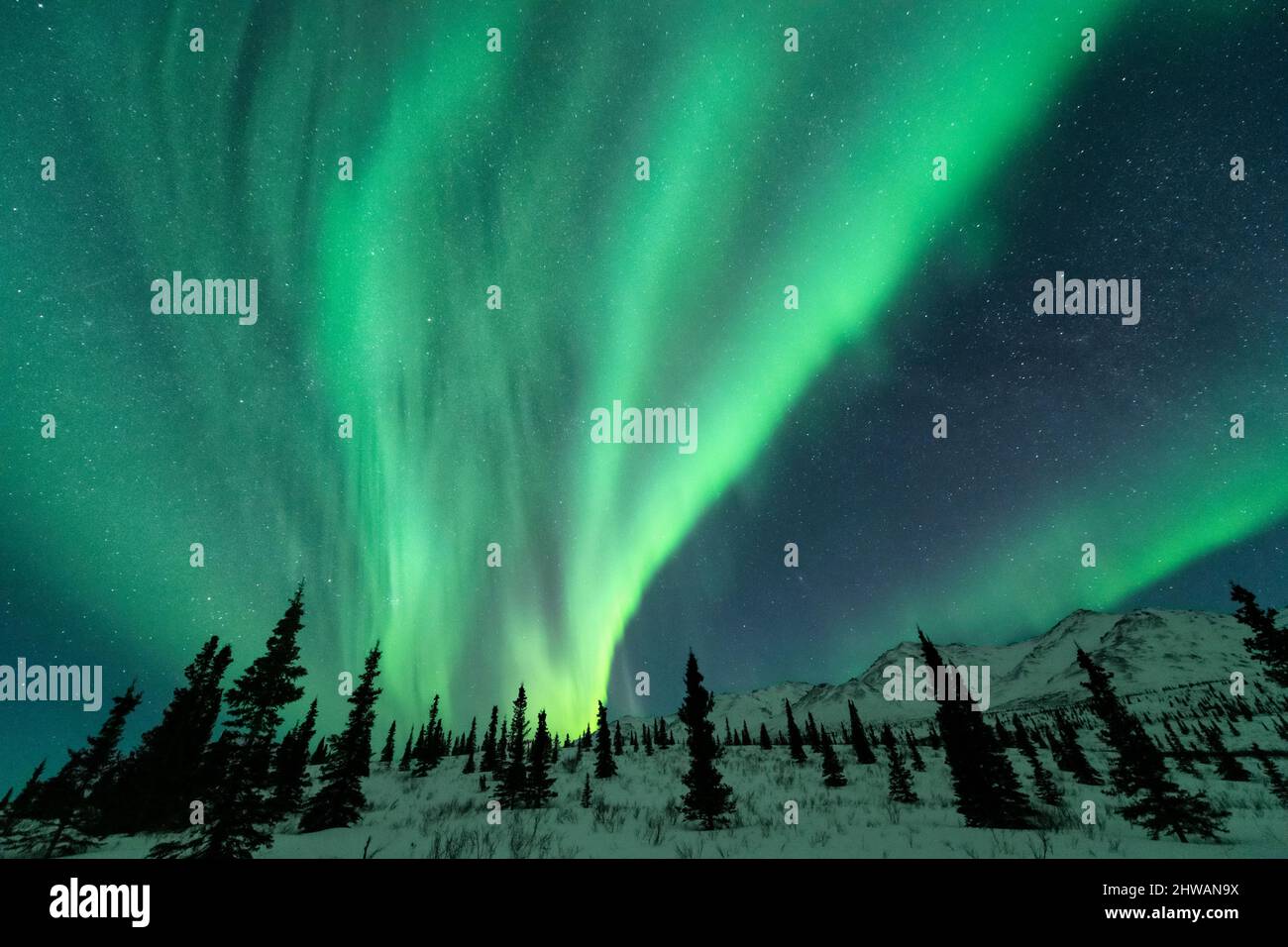 Aurora Borealis, Northern Lights, Night Sky. Alaska Stock Photo - Alamy