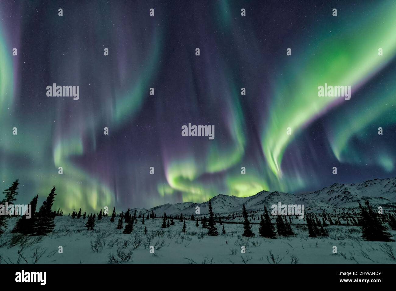 Aurora Borealis, Northern Lights, Night Sky. Alaska Stock Photo - Alamy