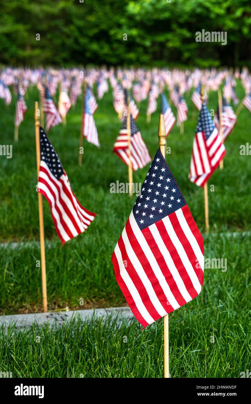 Stick flags of the United States by ground grave markers at the Tahoma ...