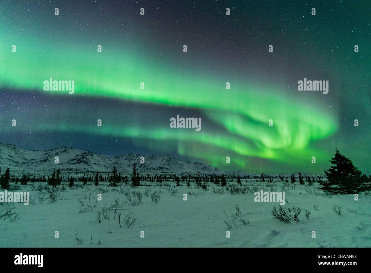 Aurora Borealis, Northern Lights, Night Sky, Alaska Stock Photo - Alamy