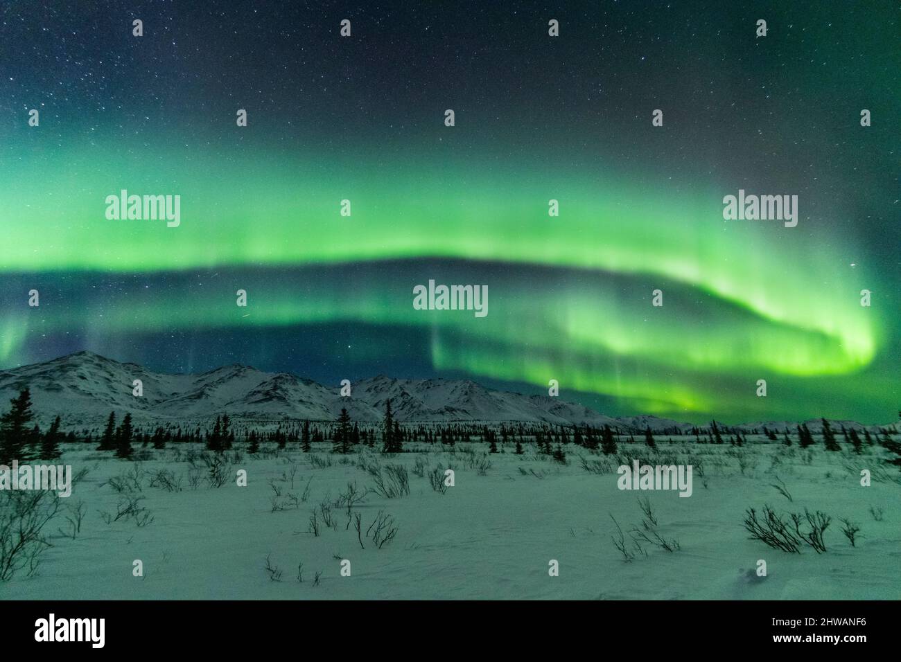 Aurora Borealis, Northern Lights, Night Sky, Alaska Stock Photo - Alamy