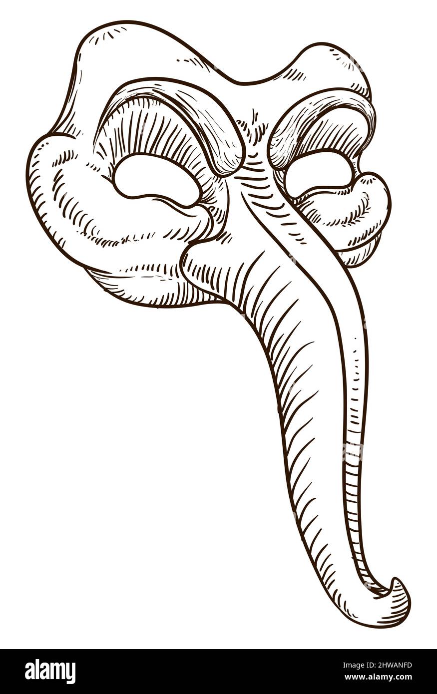 Eyebrows drawn hi-res stock photography and images - Alamy