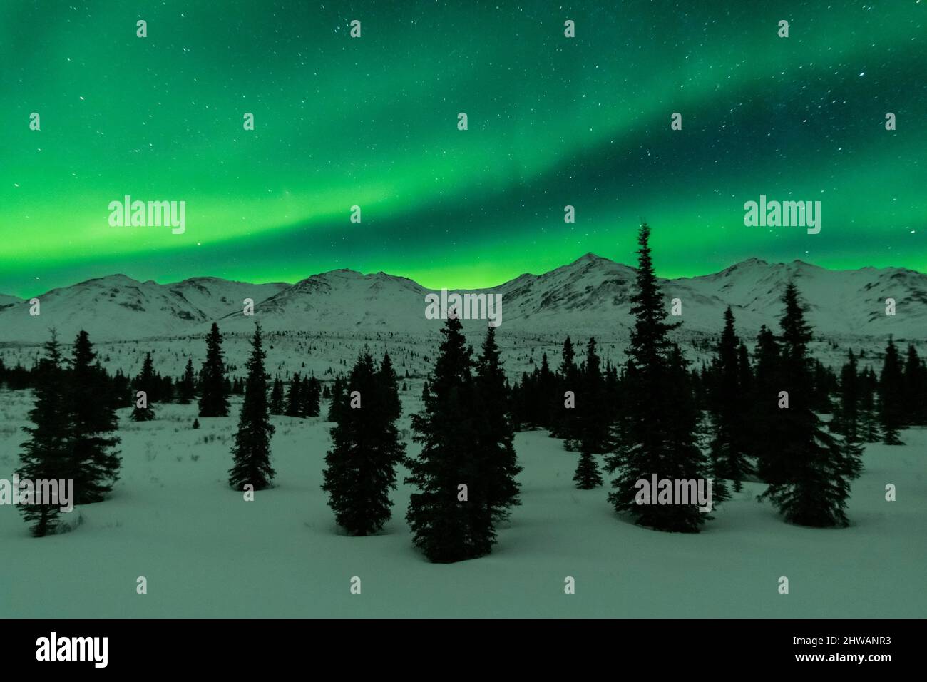 Aurora Borealis, Northern Lights, Night Sky, Alaska Stock Photo - Alamy