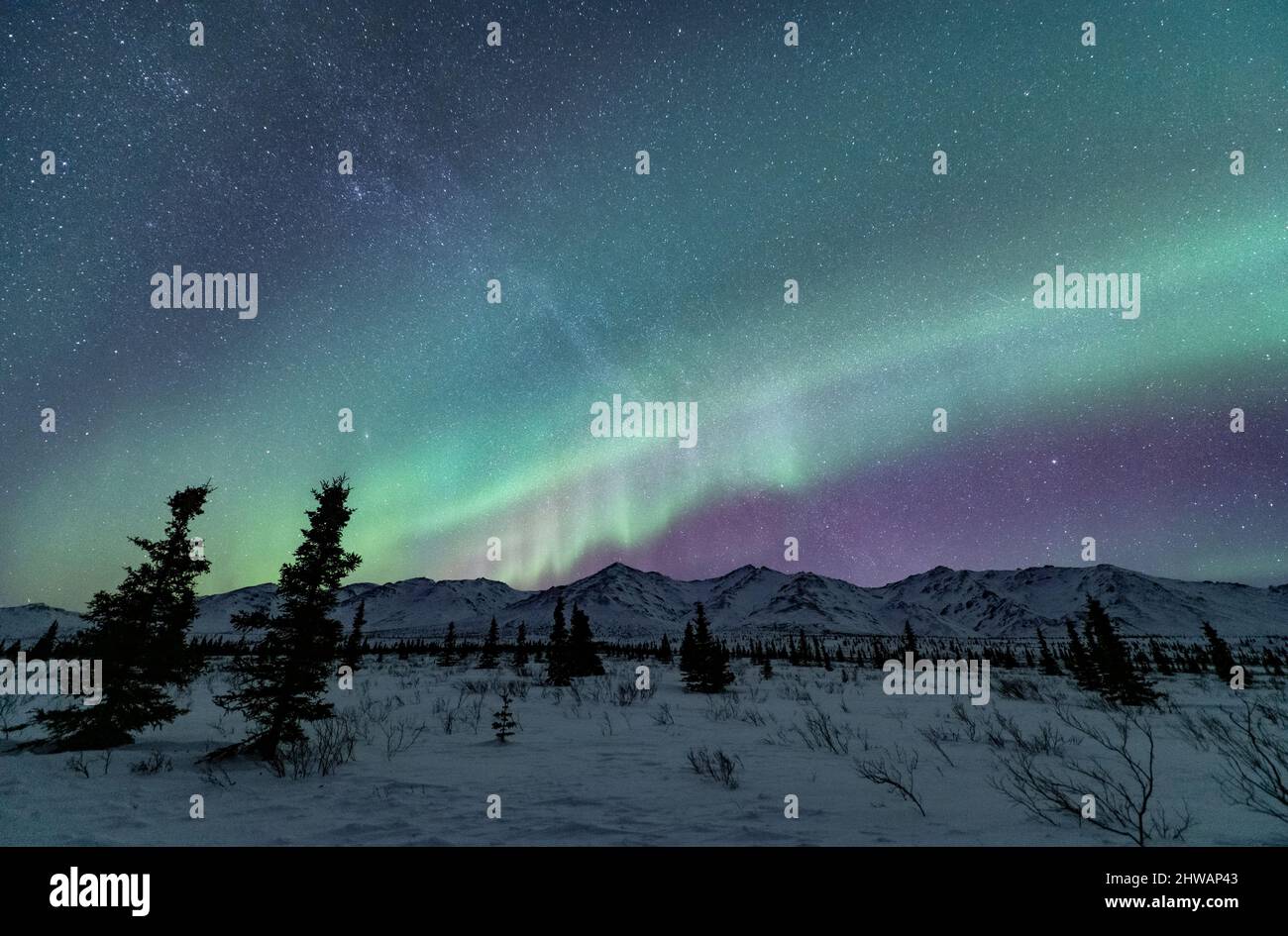 Aurora Borealis, Northern Lights, Night Sky, Alaska Stock Photo - Alamy