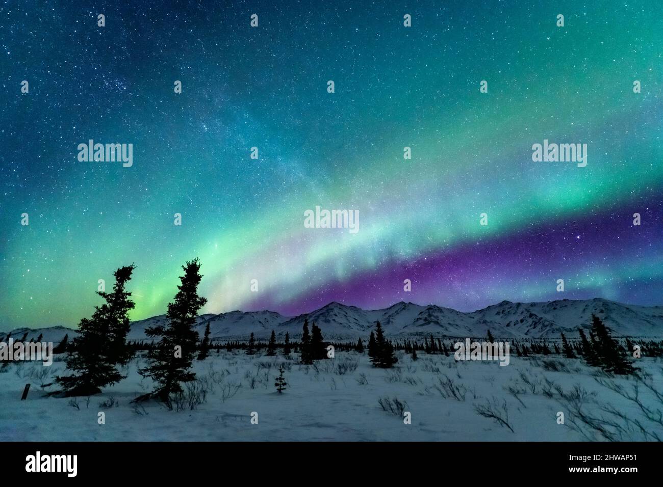 Aurora Borealis, Northern Lights, Night Sky, Alaska Stock Photo - Alamy