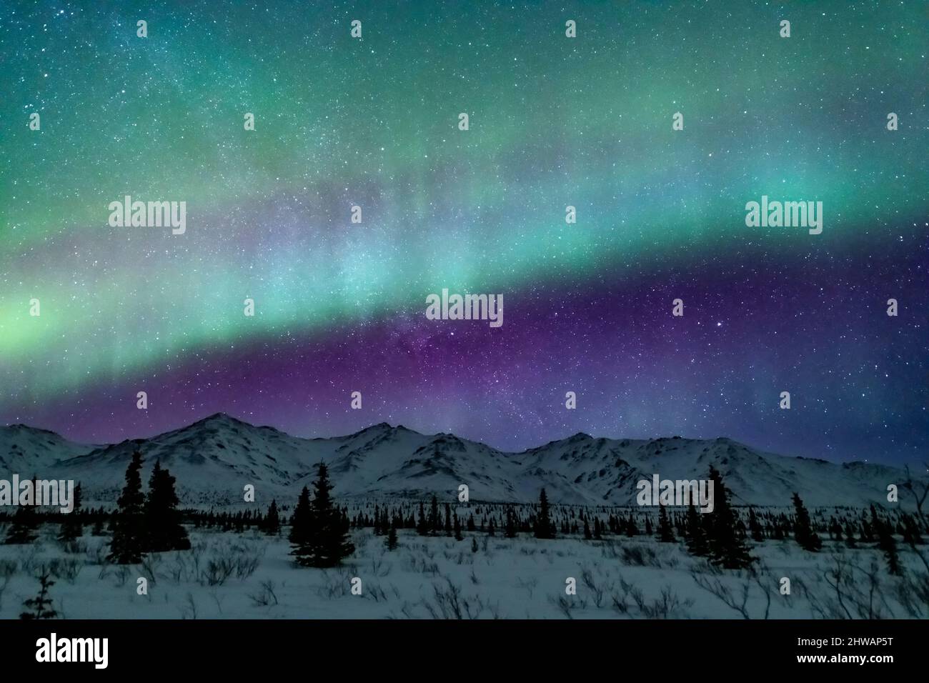 Aurora Borealis, Northern Lights, Night Sky, Alaska Stock Photo - Alamy