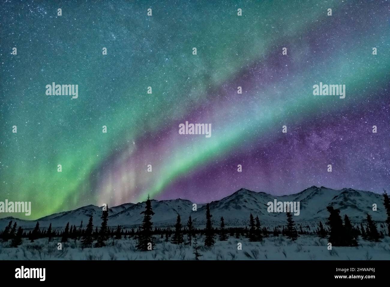 Aurora Borealis, Northern Lights, Night Sky, Alaska Stock Photo - Alamy
