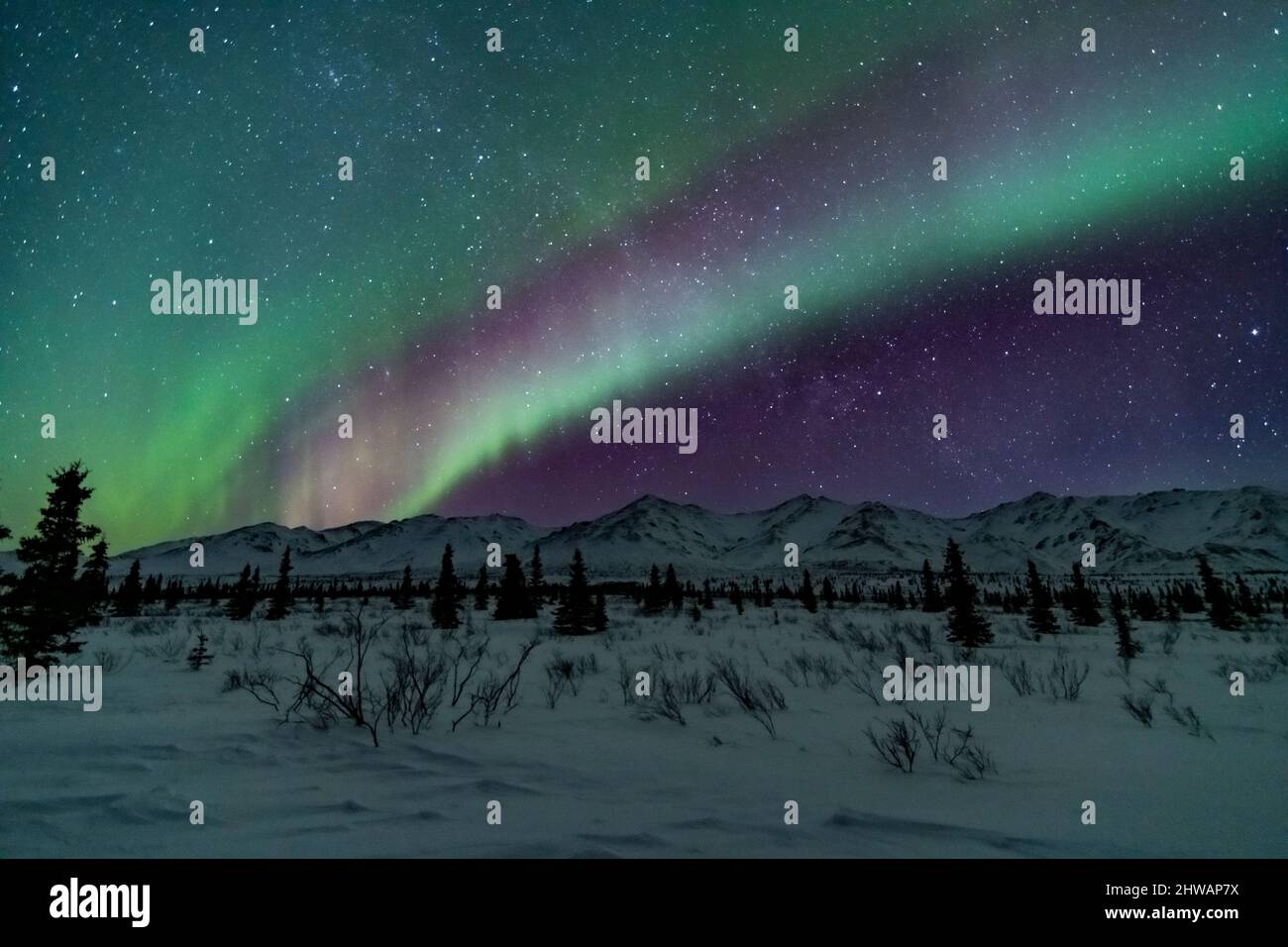 Aurora Borealis, Northern Lights, Night Sky, Alaska Stock Photo - Alamy