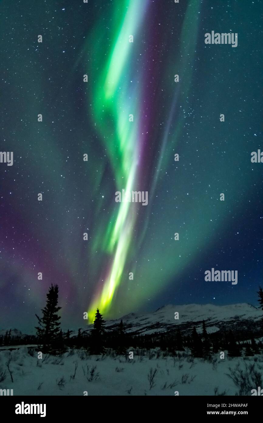 Aurora Borealis, Northern Lights, Night Sky, Alaska Stock Photo - Alamy
