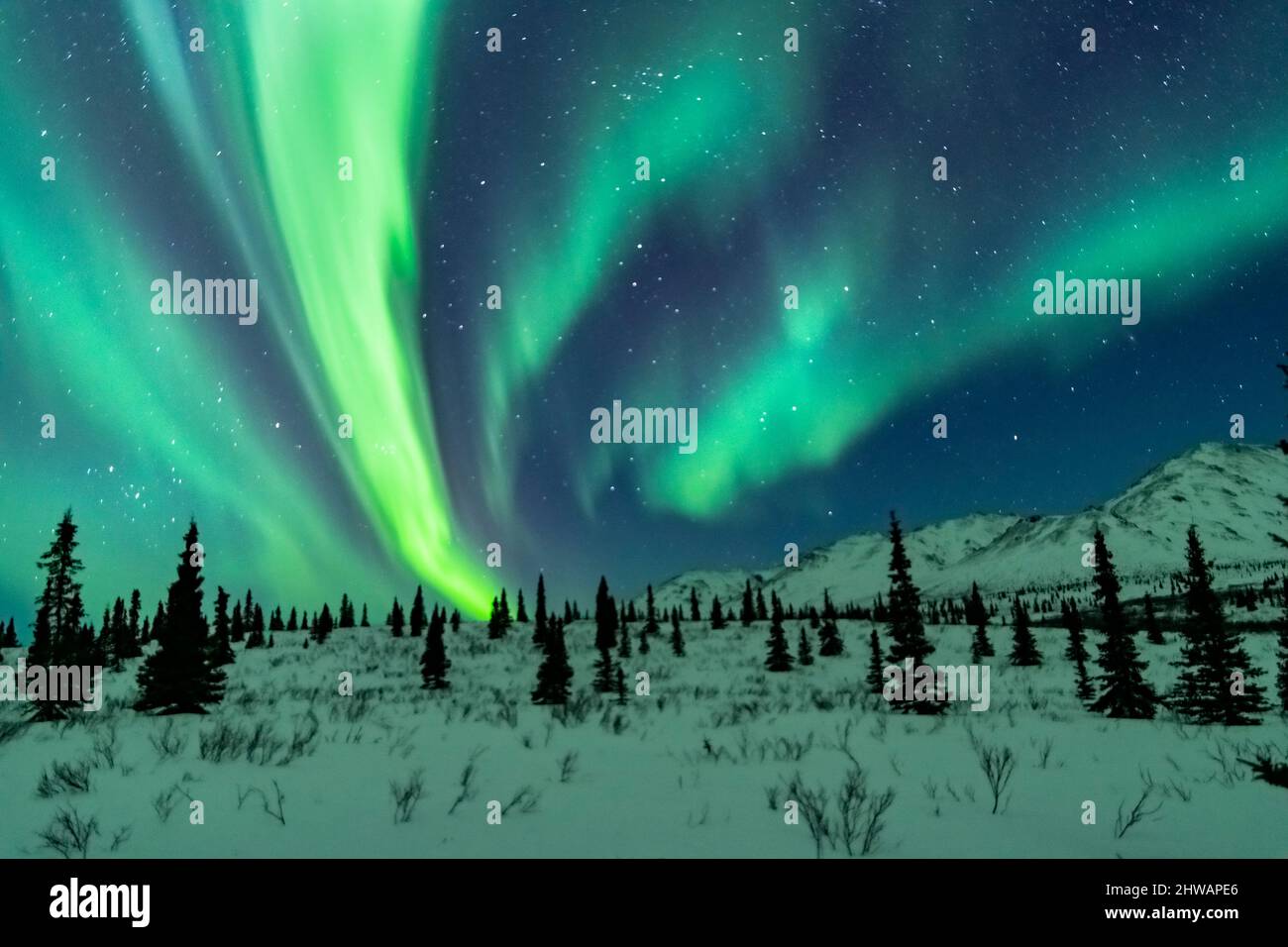 Aurora Borealis, Northern Lights, Night Sky, Alaska Stock Photo - Alamy