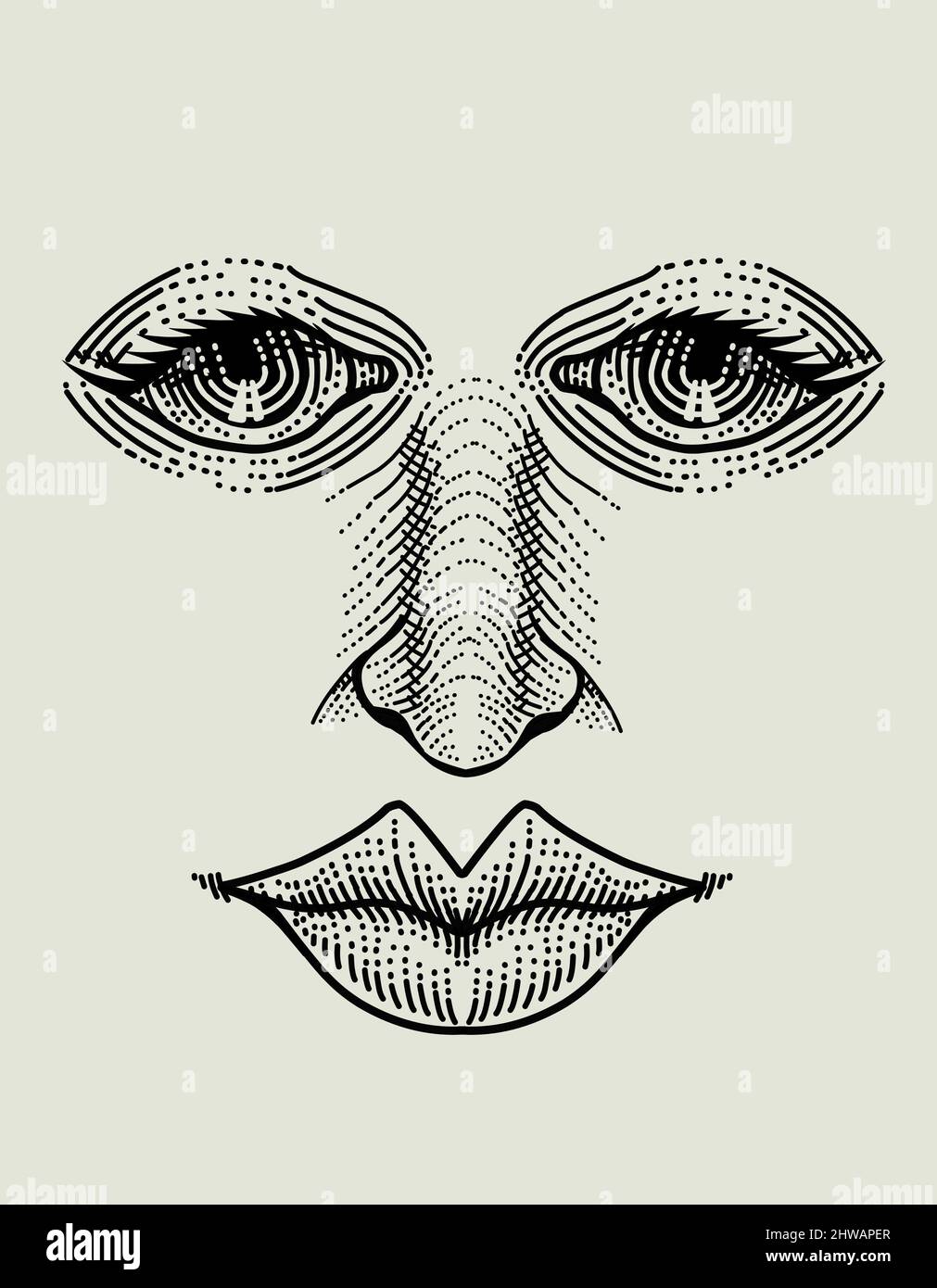 Illustration vector face anatomy with engraving drawing Stock Vector ...