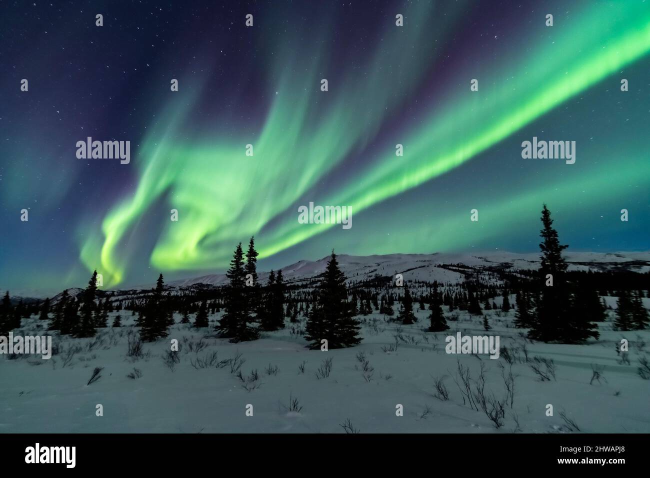 Aurora Borealis, Northern Lights, Night Sky, Alaska Stock Photo - Alamy