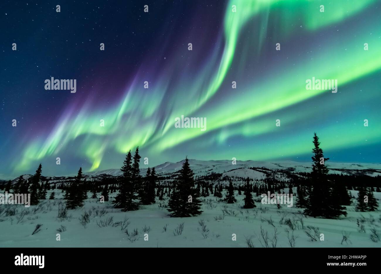 Aurora Borealis, Northern Lights, Night Sky, Alaska Stock Photo - Alamy