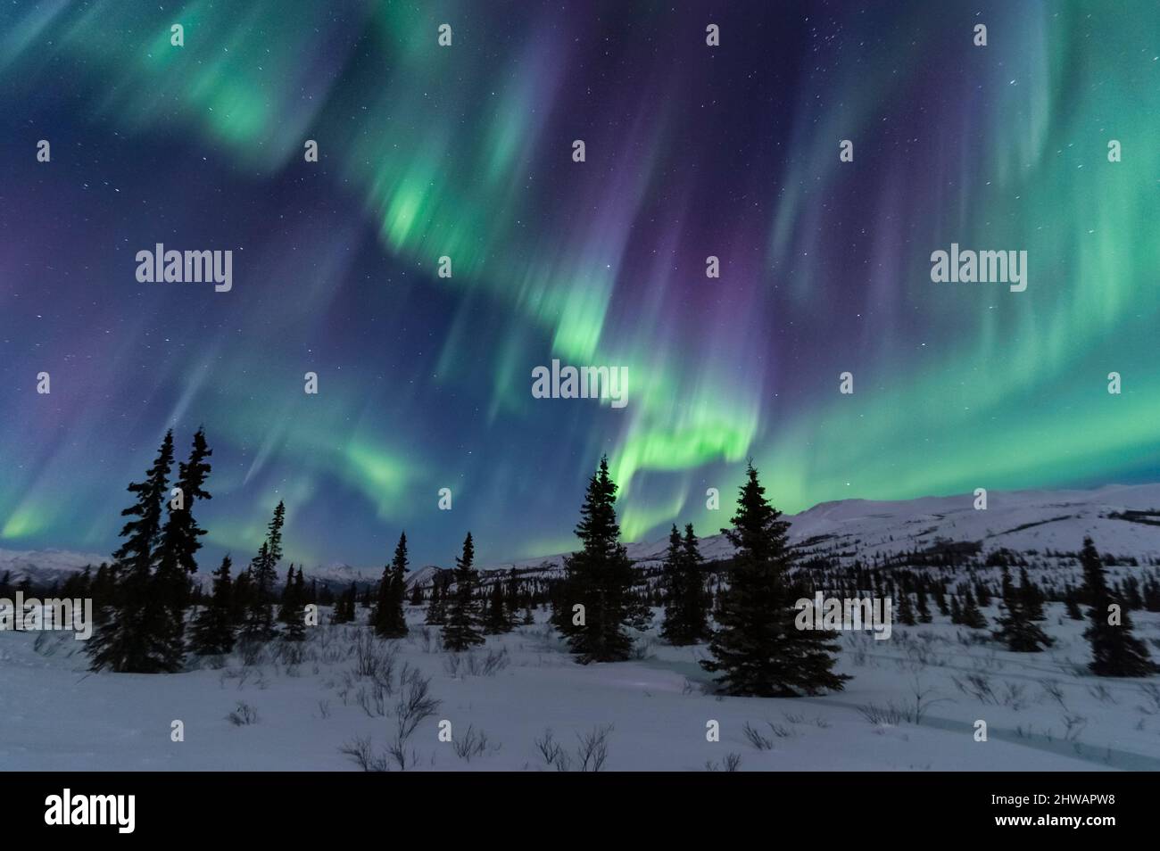 Aurora Borealis, Northern Lights, Night Sky, Alaska Stock Photo - Alamy