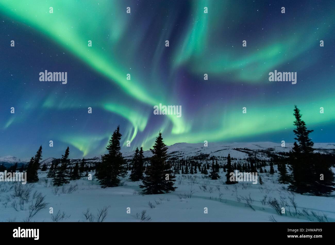 Aurora Borealis, Northern Lights, Night Sky, Alaska Stock Photo - Alamy