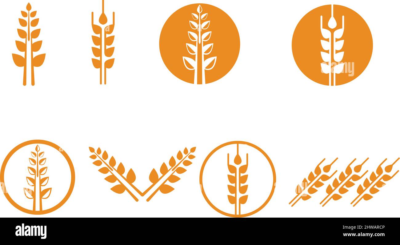 Agriculture wheat vector icon design Stock Vector Image & Art - Alamy