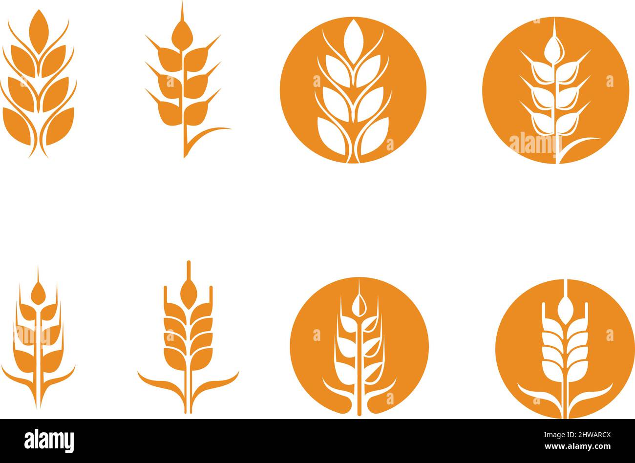 Agriculture wheat vector icon design Stock Vector Image & Art - Alamy