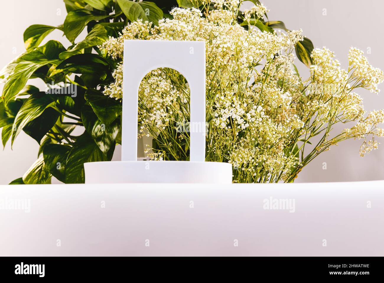 Mock up background for make up or product photography with risers and ...