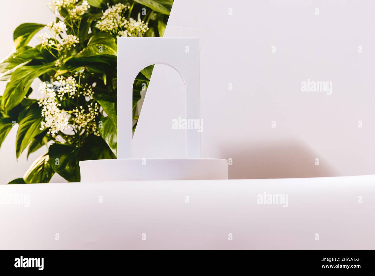 Mock up background for make up or product photography with risers and ...