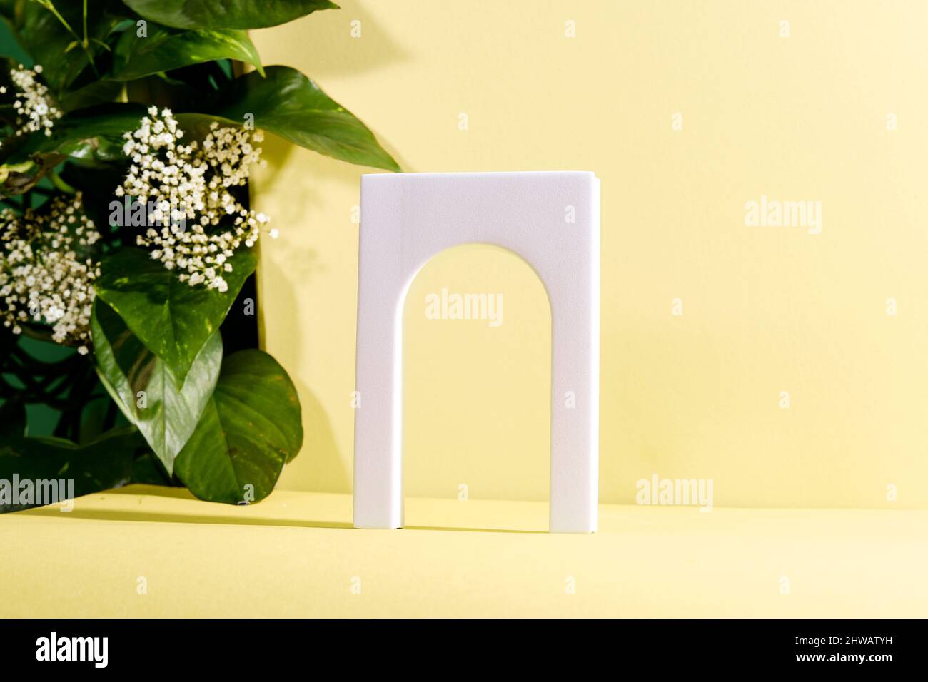 Mock up background for make up or product photography with risers and ...