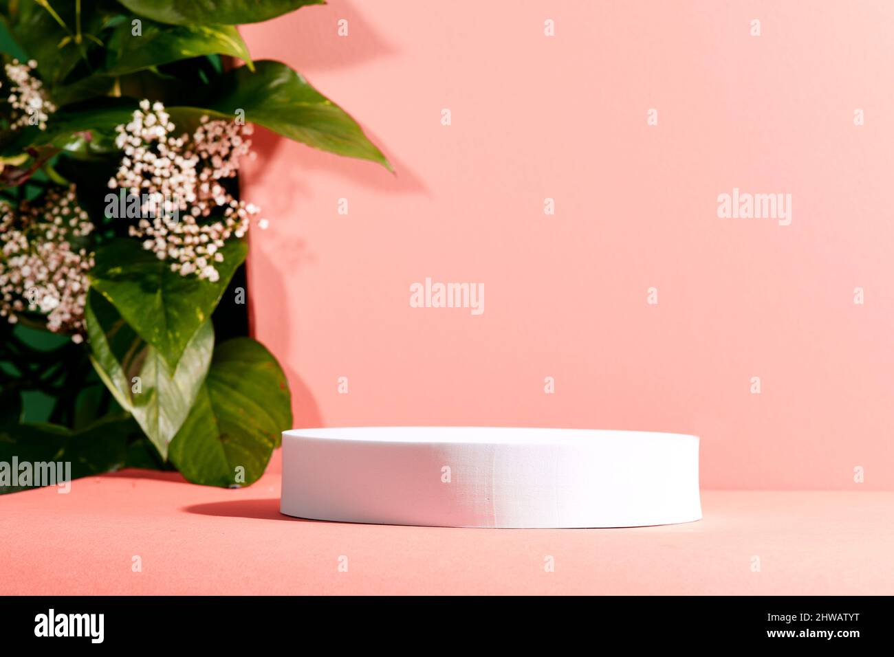 Mock up background for make up or product photography with risers and ...