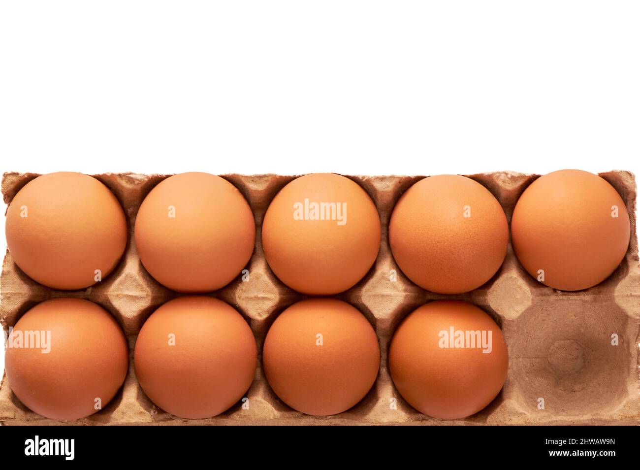 Nine eggs on a cardboard stand on a white insulated background Stock ...