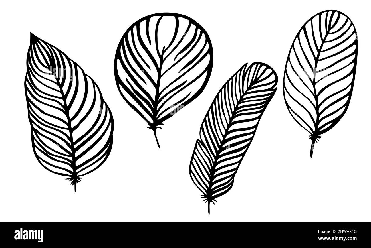 Handwritten signature in ink Cut Out Stock Images & Pictures - Alamy