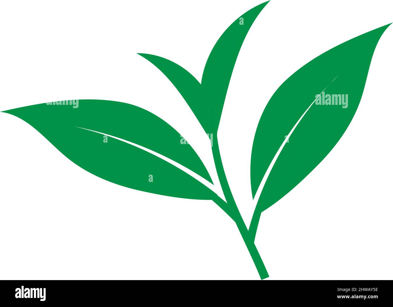 Naturalness vector vectors hi-res stock photography and images - Alamy