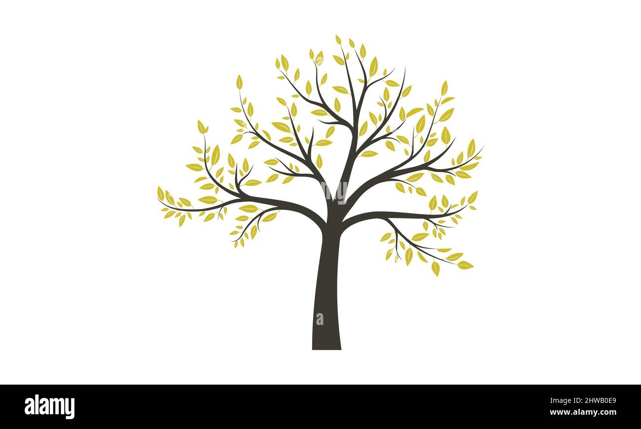 Botany fertile Stock Vector Images - Alamy