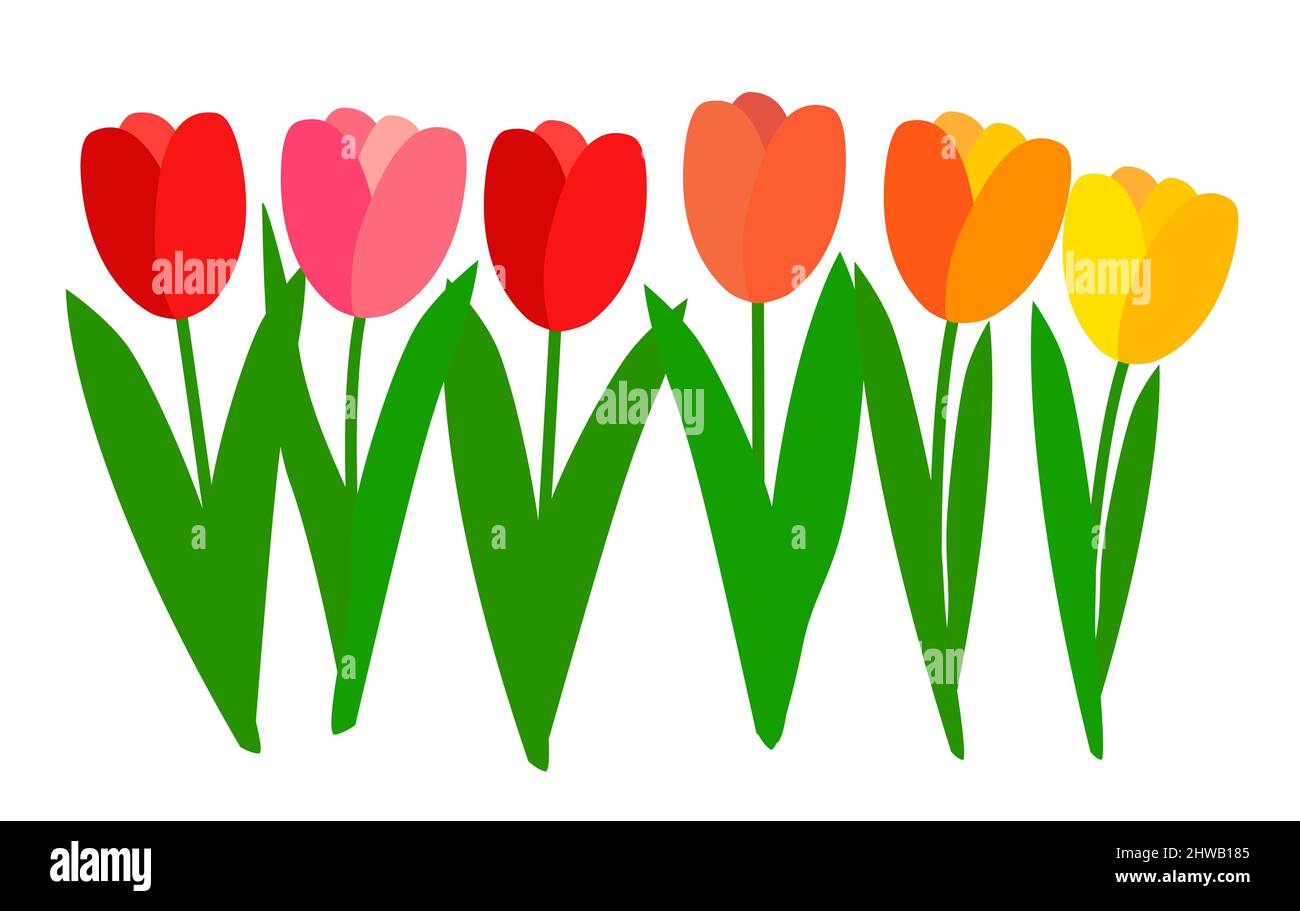Simple Tulips Flower. Illustration Stock Photo - Alamy