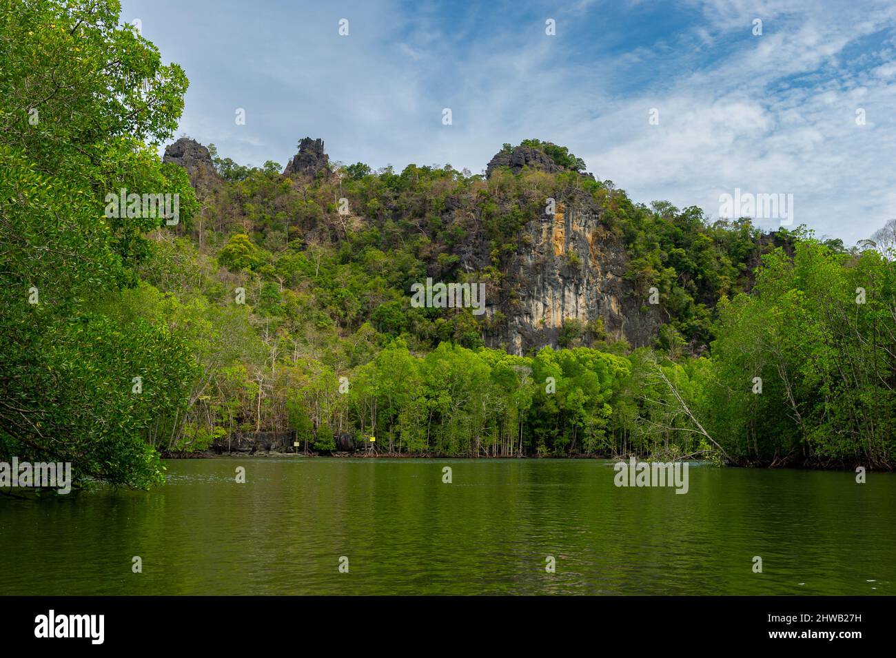 Kilim Geoforest Park, Langkawi, Malaysia Stock Photo - Alamy