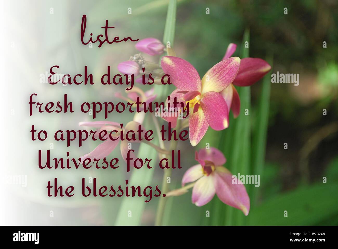 Motivational quotes hi-res stock photography and images - Alamy