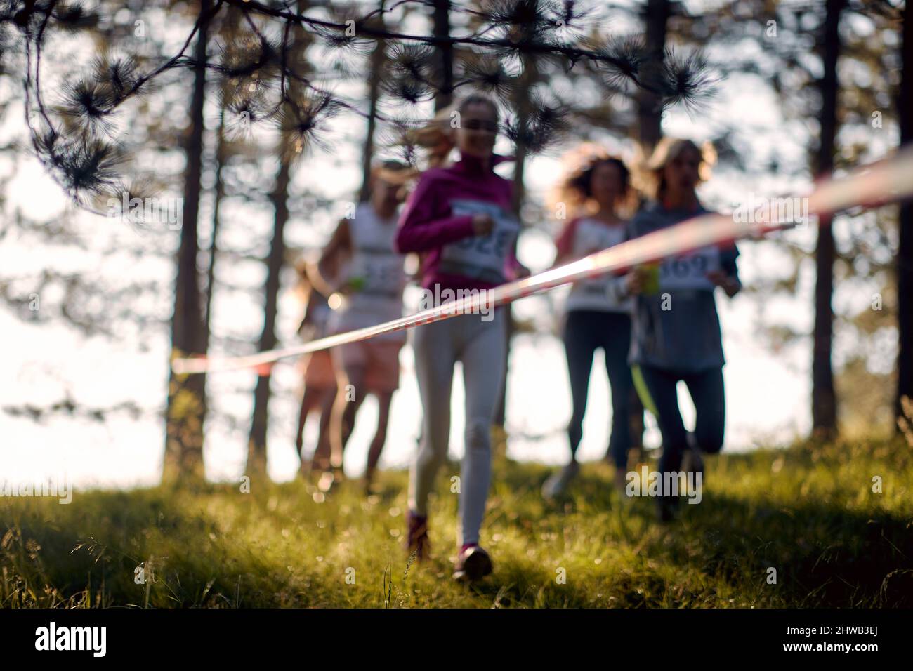 Blurred photo of group of athletes running through forest. Marathon in ...