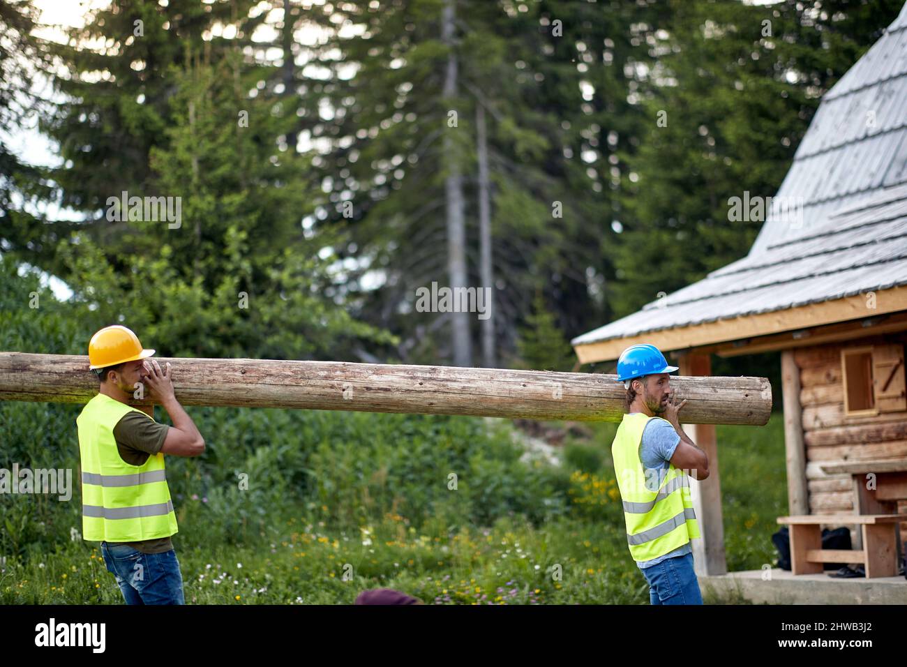 Two young male construction workers carrying big heavy wood on a ...